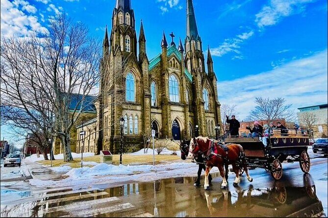 Horse Drawn Historical Guided Tour - Who Is This Tour Best For?