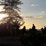 Horseback Adventure in Holbox - The Meeting Point and Logistical Tips