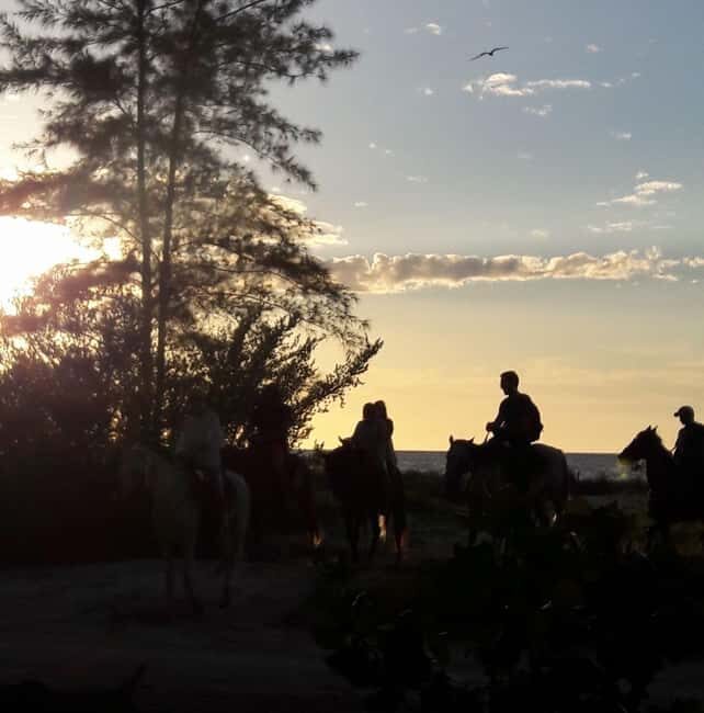 Horseback Adventure in Holbox - The Meeting Point and Logistical Tips