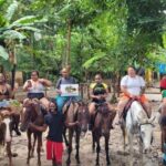 Horseback Ride, Blue Hole, Secret Falls & River Tubing Tour - Practical Details and Value