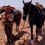 Horseback Ride in Guanajuato with Live Music and Food - Authentic Experiences and Guest Perspectives