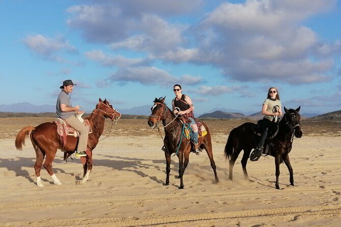 Horseback riding - The Sum Up: Is This Horseback Ride Worth It?