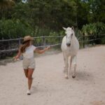 Horseback Riding and Cenote Swim from Cancun or Playa del Carmen - Practical Considerations & Tips