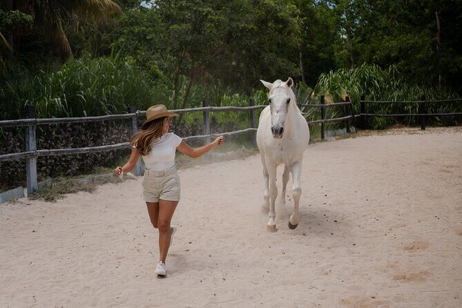 Horseback Riding and Cenote Swim from Cancun or Playa del Carmen - Practical Considerations & Tips