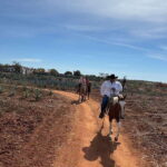 Horseback riding and Temazcal combo with lunch and mezcal - The Breakdown of the Itinerary