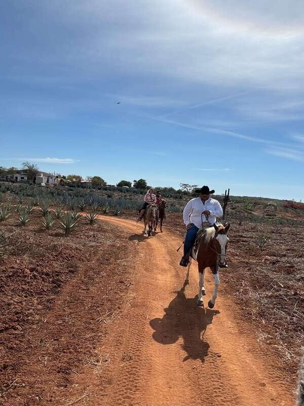 Horseback riding and Temazcal combo with lunch and mezcal - The Breakdown of the Itinerary