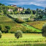 Horseback Riding and Wine Tasting Tour - FAQs