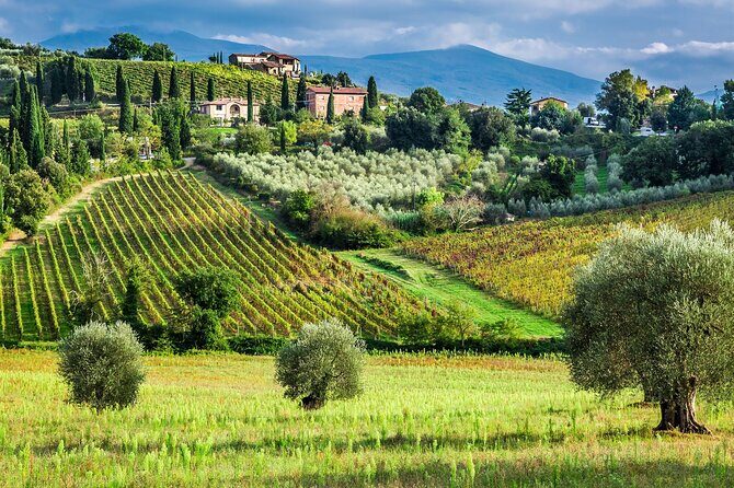 Horseback Riding and Wine Tasting Tour - FAQs