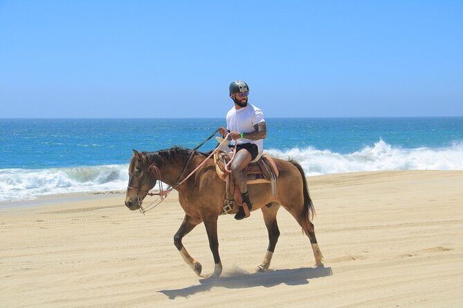 Horseback Riding Beach and Desert Adventure - The Horseback Experience