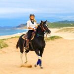 Horseback Riding Beach and Desert in Cabo by Cactus Tours Park - Value and Costs
