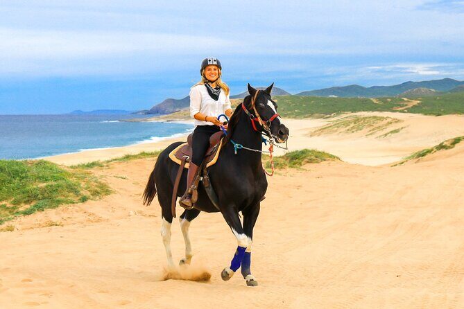 Horseback Riding Beach and Desert in Cabo by Cactus Tours Park - Value and Costs
