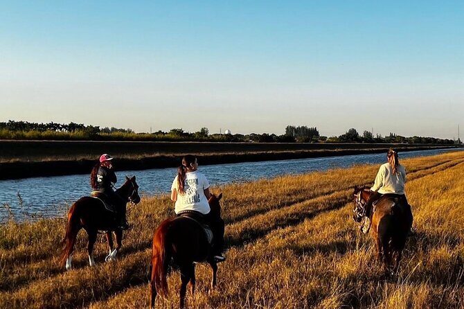 Horseback Riding in Miami - The Sum Up