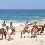 Horseback Riding on The Beach and Through The Desert! - The Itinerary in Detail