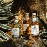 Horseback Riding: Tequila Tasting, Mex BBQ & Margaritas - Who Will Love This Tour?