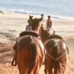 Horseback Riding Tour in Cabo San Lucas - The Ride and Group Size