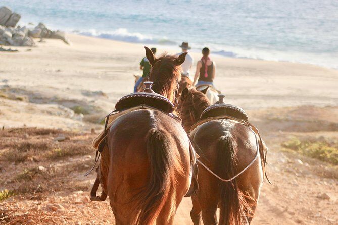 Horseback Riding Tour in Cabo San Lucas - The Ride and Group Size