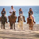 Horseback Riding Tour in Los Cabos - Transportation and Group Size