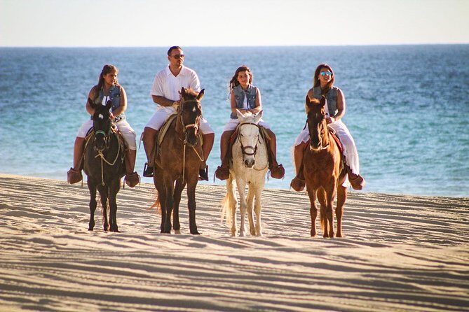 Horseback Riding Tour in Los Cabos - Transportation and Group Size