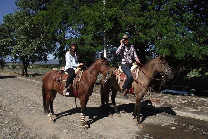 Horseback Riding Tour in The Agave Field with Lunch - What Sets This Tour Apart?