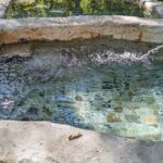 Hot Springs All Inclusive Relaxing Tour - Pricing & Value