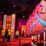 Houston: 1-Day or 3-Day Museum Pass - Exploring Houston’s Museums: A Deep Dive