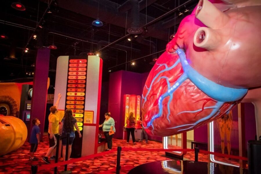 Houston: 1-Day or 3-Day Museum Pass - Exploring Houston’s Museums: A Deep Dive