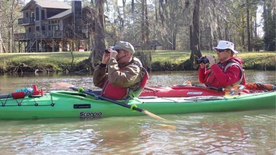 Houston: Luce Bayou Kayaking Tour - The Experience and Its Value