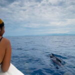 Huatulco: Awakening with Stars Dolphins Boat Cruise - Is It Worth the Price?