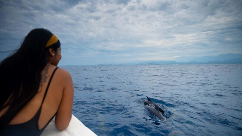 Huatulco: Awakening with Stars Dolphins Boat Cruise - Is It Worth the Price?
