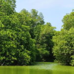 Huatulco: Laguna de Chacahua Exploration - Analyzing the Value