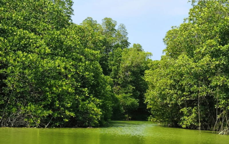 Huatulco: Laguna de Chacahua Exploration - Analyzing the Value