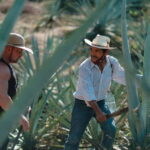 Huatulco: Mezcal and Gastronomic Tour - Who Is This Tour Best For?