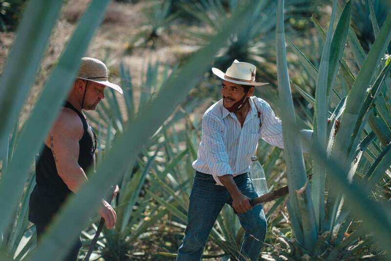 Huatulco: Mezcal and Gastronomic Tour - Who Is This Tour Best For?