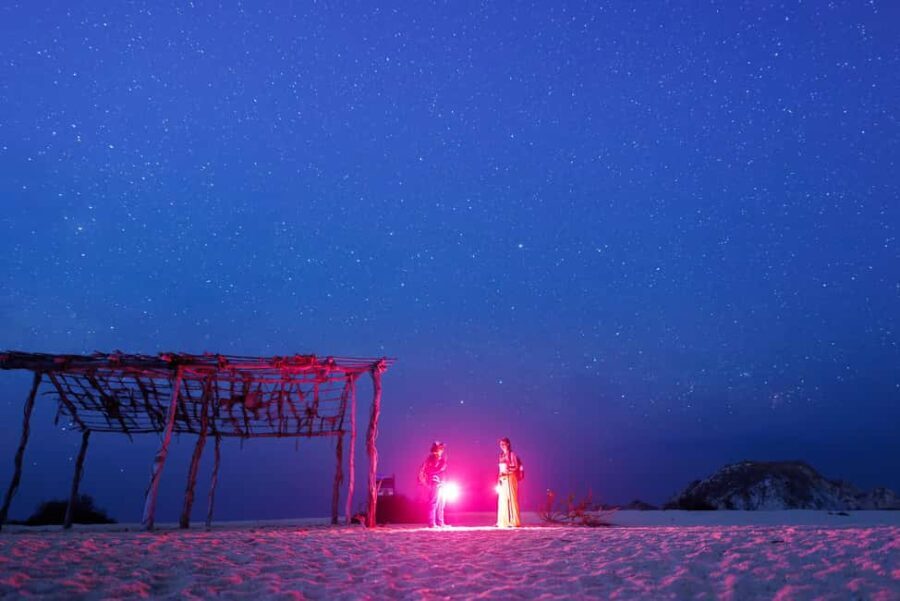 Huatulco: Nighttime Sea Turtle Monitoring guided by a biologist - The Itinerary in Detail