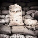 Huatulco: Santa Maria and Pluma Hidalgo Coffee Tour - The Value of This Tour