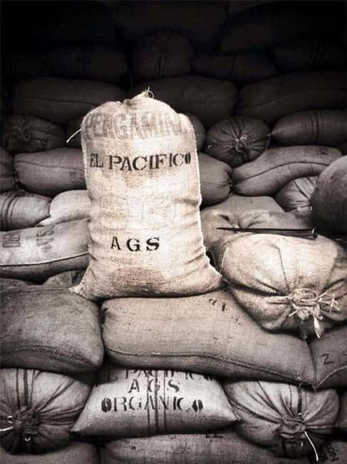 Huatulco: Santa Maria and Pluma Hidalgo Coffee Tour - The Value of This Tour