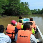 Huatulco: Turtles & Crocs Experience - What to Expect During the Full Day