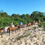 Huatulco:Turtle release,horseback riding and bioluminescence - Practical Details and Value