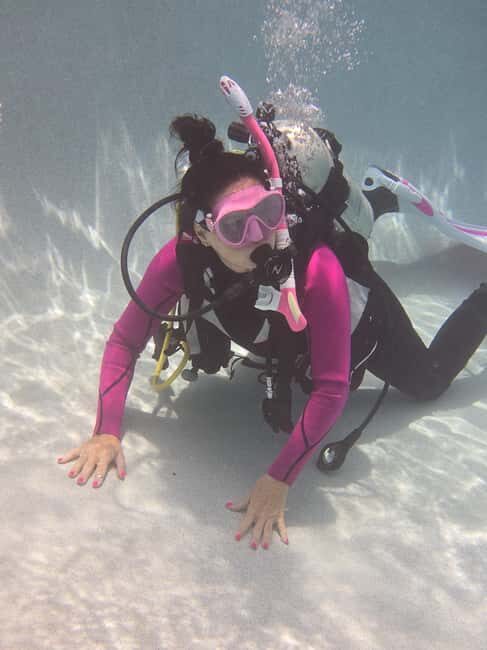HUDSON, FL: PADI Discover Scuba Diving Experience - Why This Experience Offers Real Value