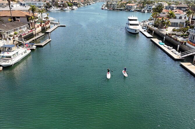 Huntington Harbour Stand Up Paddleboard Tour - Wildlife and Scenic Highlights