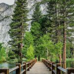 Hwy 140 Route Glacier Point and Yosemite Valley Small Group Tour - Who Should Consider This Tour?