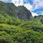 Iao Valley Nature Walk - What Travelers Say and Why It Matters