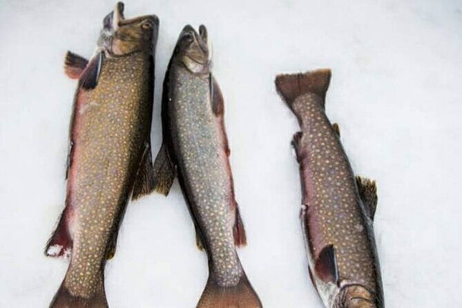 Ice fishing - Group Size and Practical Details