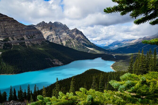 Icefields Parkway Highlights & Secrets | Award-Winning Adventure - Peyto Lake: The Photographer’s Dream