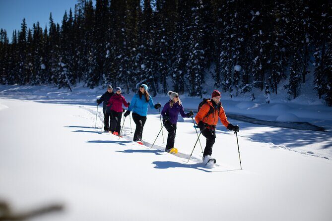 Icefields Parkway & Ice Bubbles of Abraham Lake Adventure - The Fine Details: What Makes This Tour Stand Out