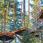 Idaho Springs: Ropes Challenge Course Ticket - Authentic Reviews and What They Say