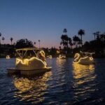 Illuminated Swan Boat Night Ride on Rainbow Lagoon in Long Beach - The Itinerary and Experience