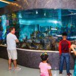 IMAG History & Science Center: Skip-the-Line Ticket - Real Traveler Insights