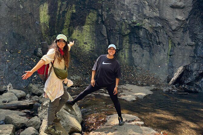 Immerse in the Nature: Deep Connection through Forest Bathing - The Sum Up