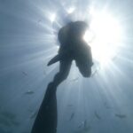 Enjoy paradise: Hidden Beach Snorkeling Adventure - The Itinerary: From Boat to Beach